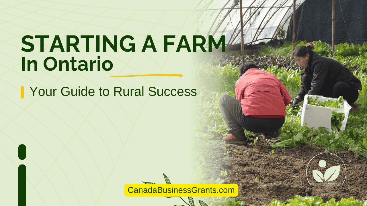 Starting a Farm in Ontario: Your Guide to Rural Success July 2025