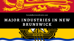 The Economic Fabric of the Picture Province: 6 Major Industries in New ...