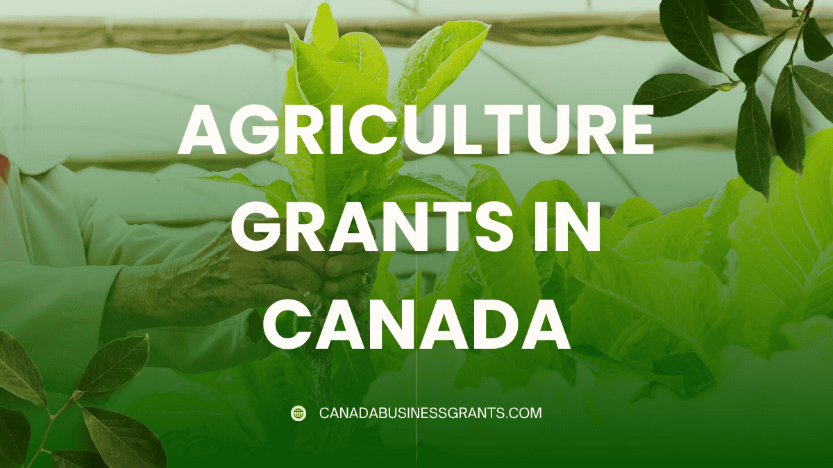 Agriculture Grants in Canada: Current Grants + Tips for Applying August ...