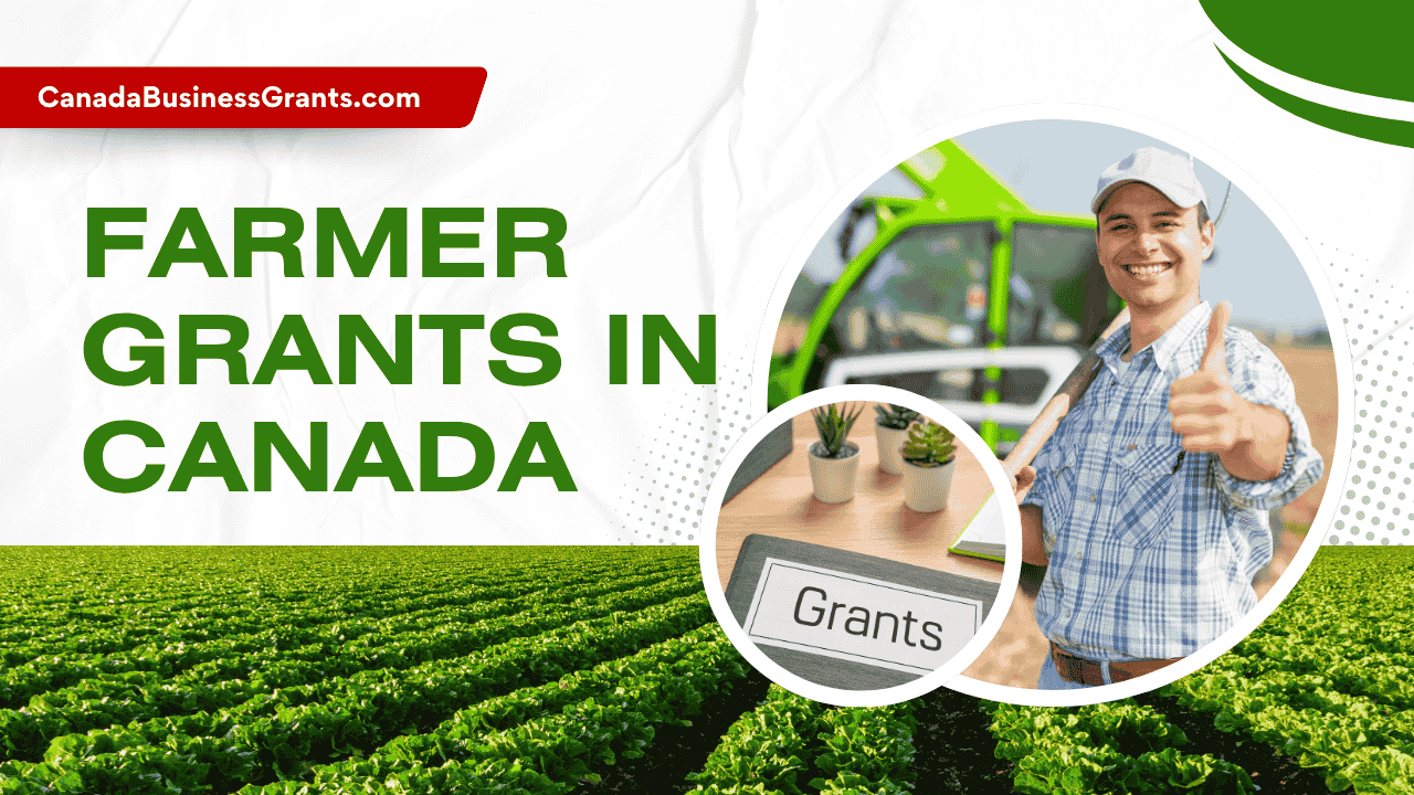 Farmer Grants in Canada: 205 Current Grants + Tips for Applying October ...